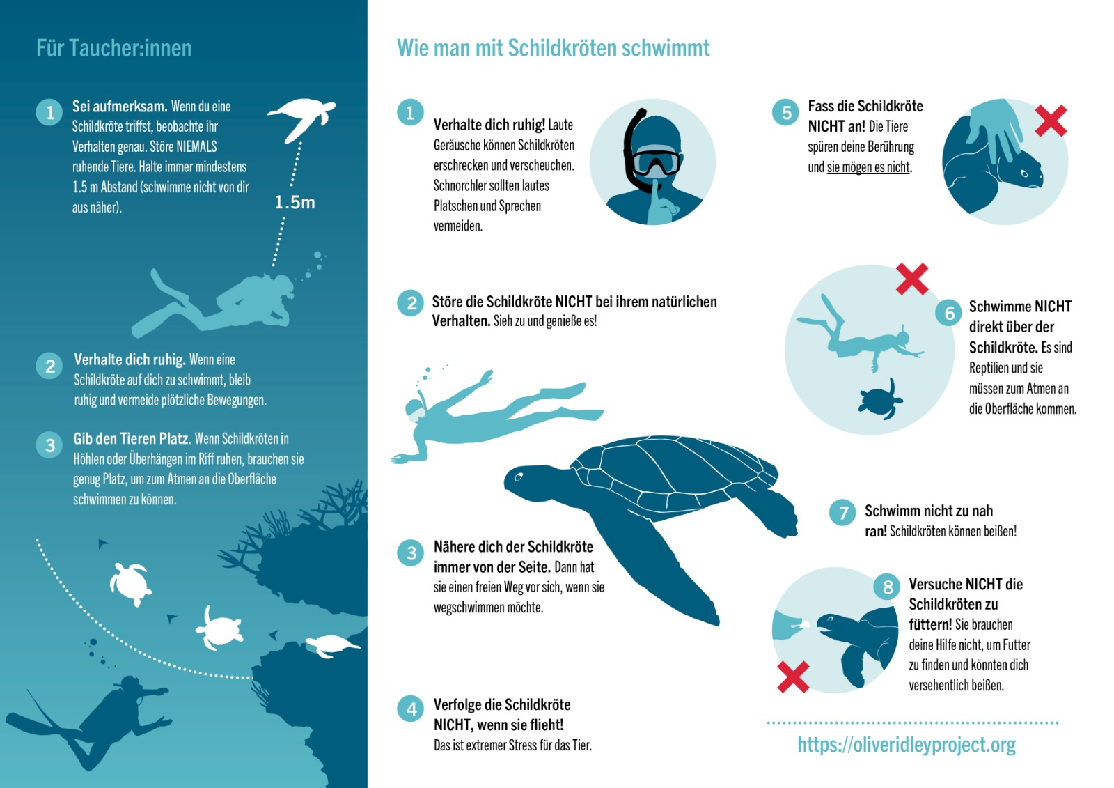 Unterstützen Sie den Schutz der Meeresschildkröten mit ihren Fotos!